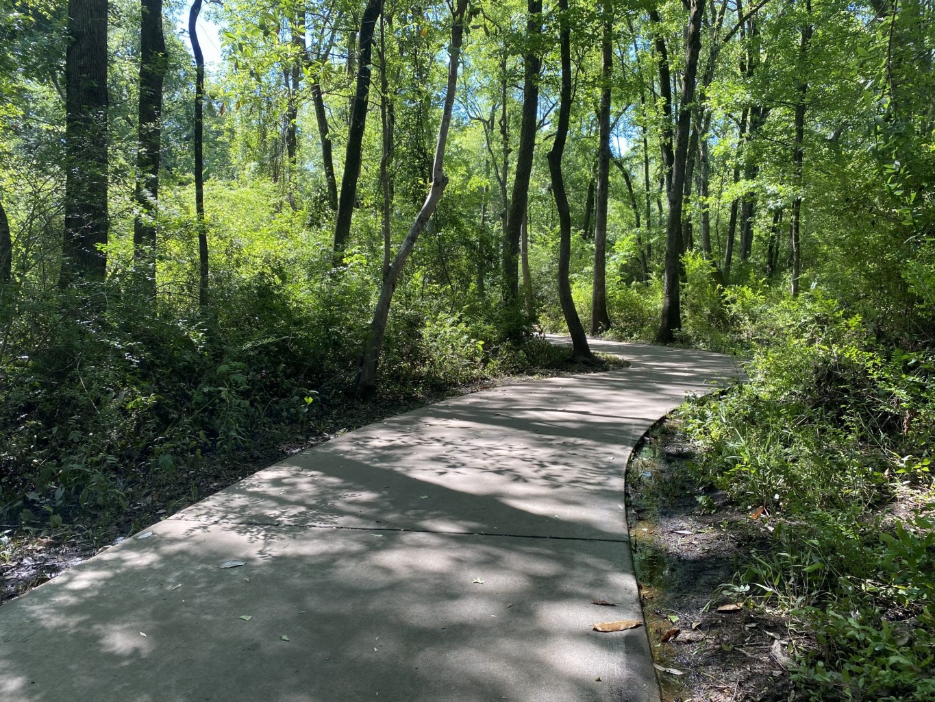 Rotary Centennial Park | City of Perry